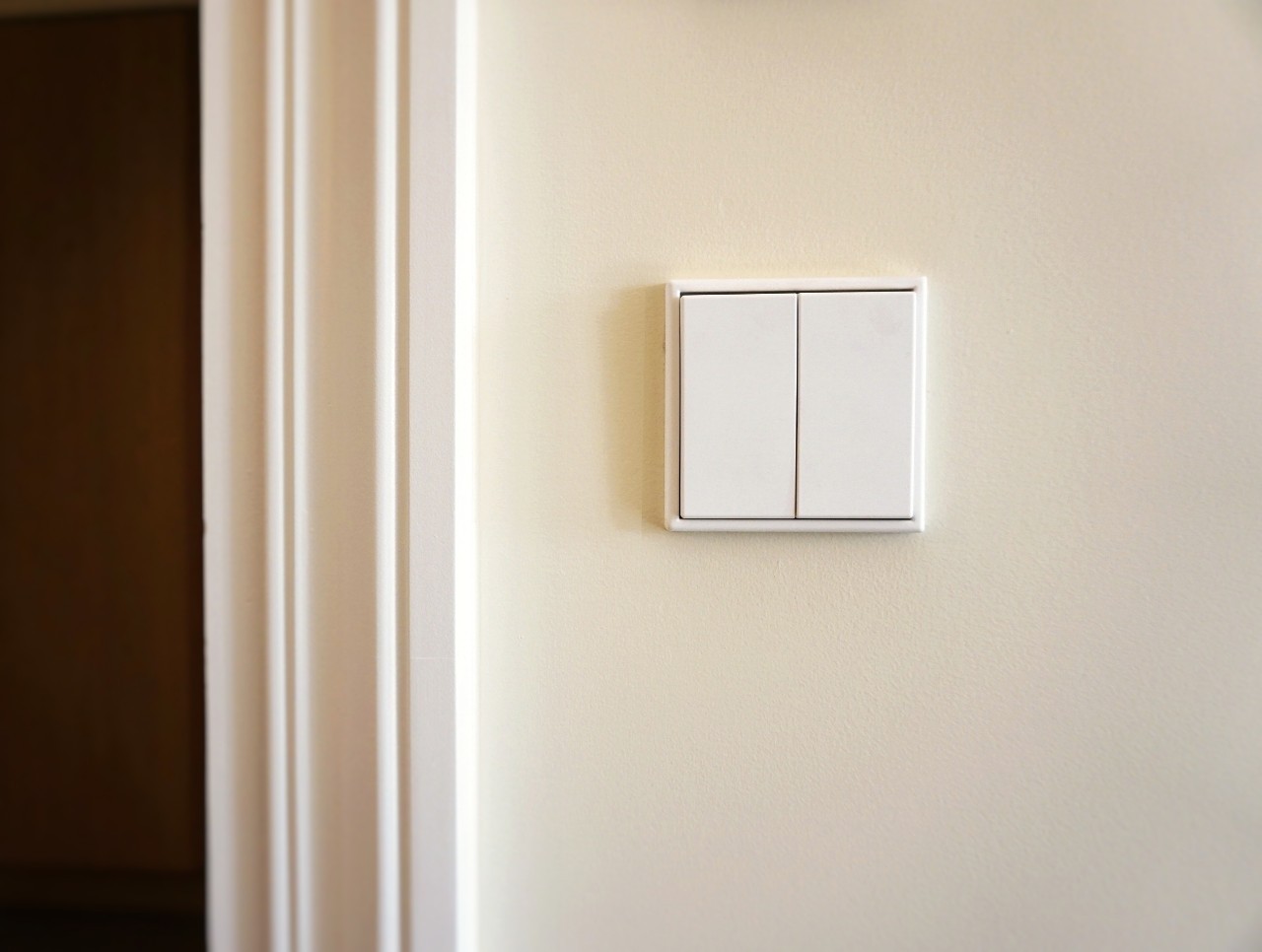 JUNG Lighting Switches at HOTEL de L'ALPAGE
